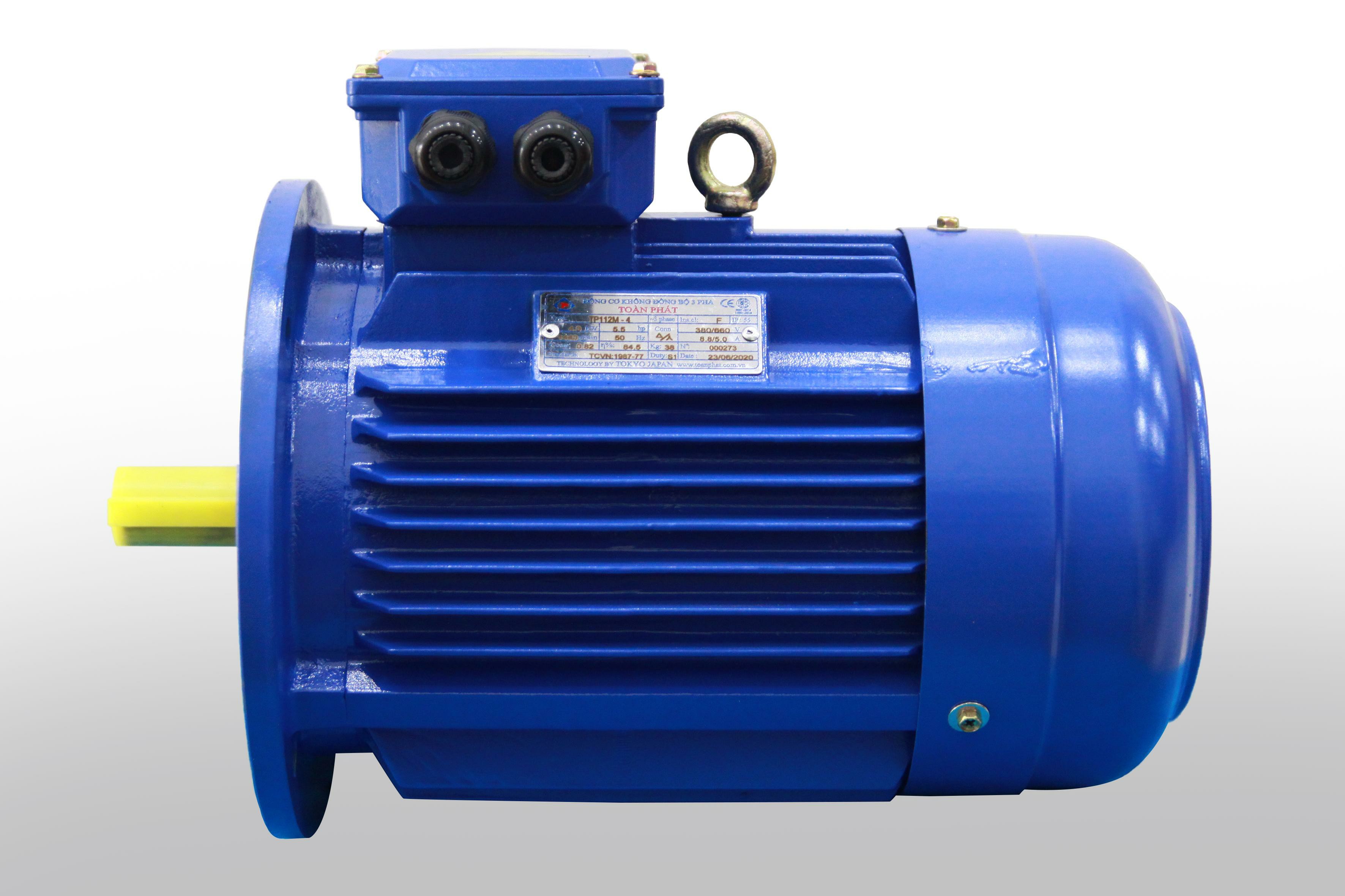 3.0 kW Flange-Mounted Motor – 3000 RPM